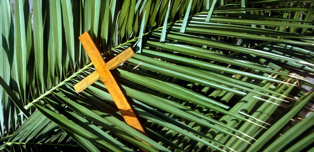 Rameaux et Croix: un seul parcours - Communauté de La-transfiguration ...